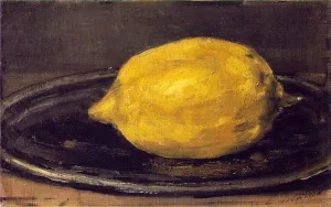 lemons – The Sailing Shipleys